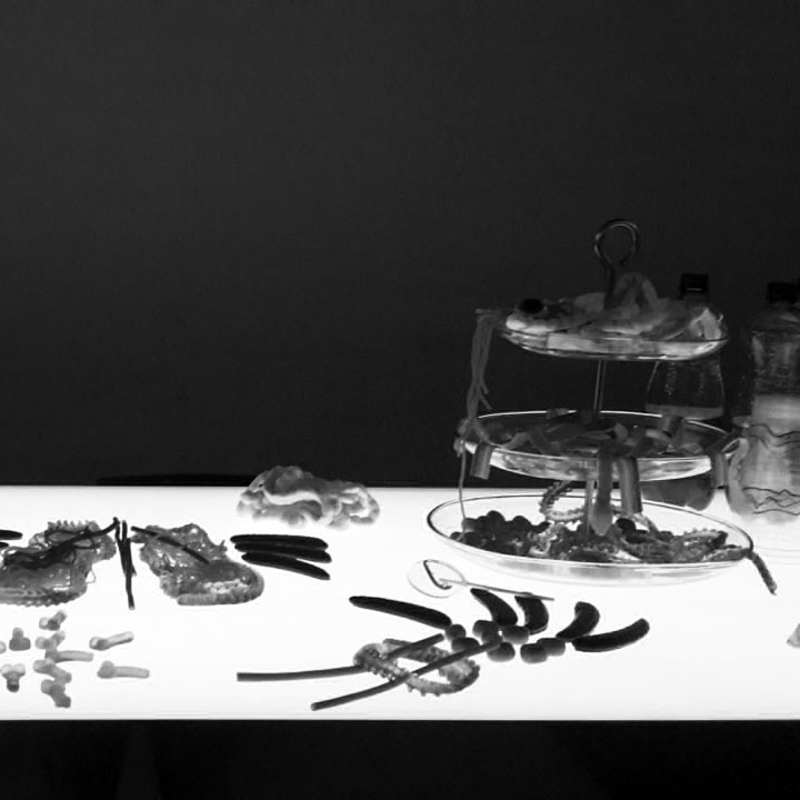 Collaborations – Cocoon